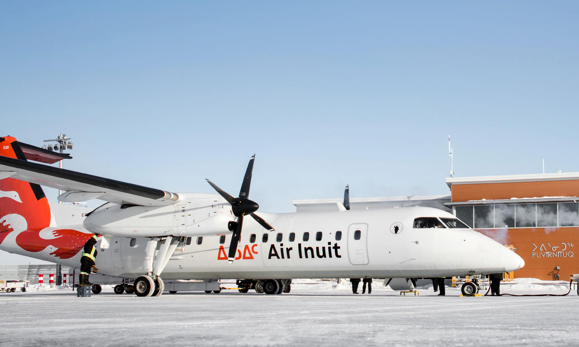 Dash 8 Freighter Dash 8 Freighter